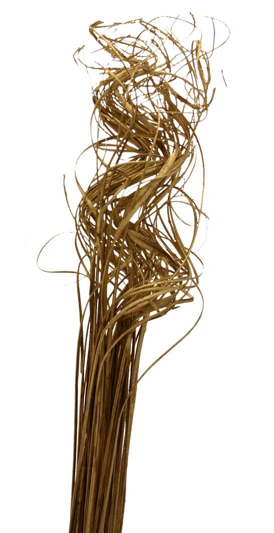 Gold Ting Ting | Angel Wholesale