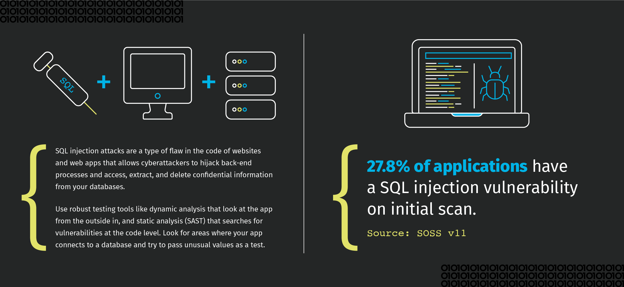  SQL Injection 