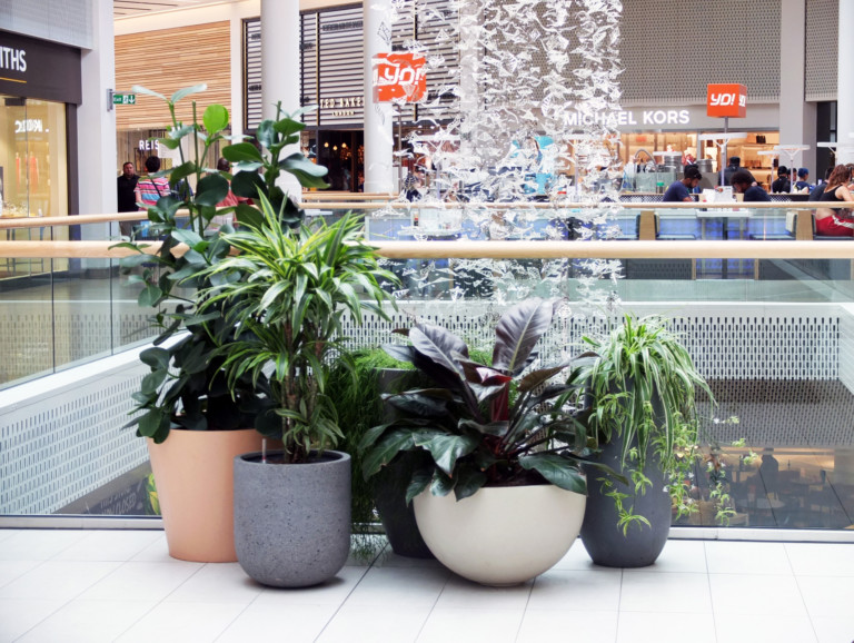 Artificial / Replica & Live Plant Displays - Urban Planters