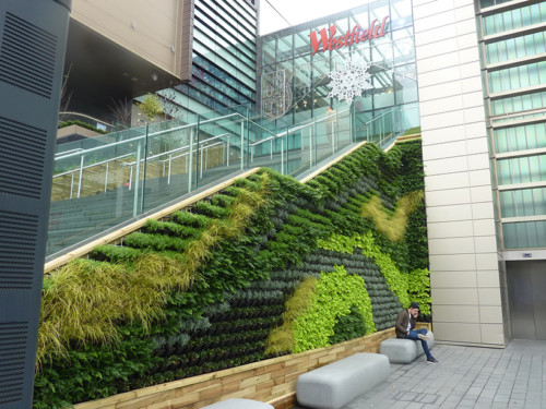 Artificial & Living Green Wall and Moss Wall Systems - Urban Planters