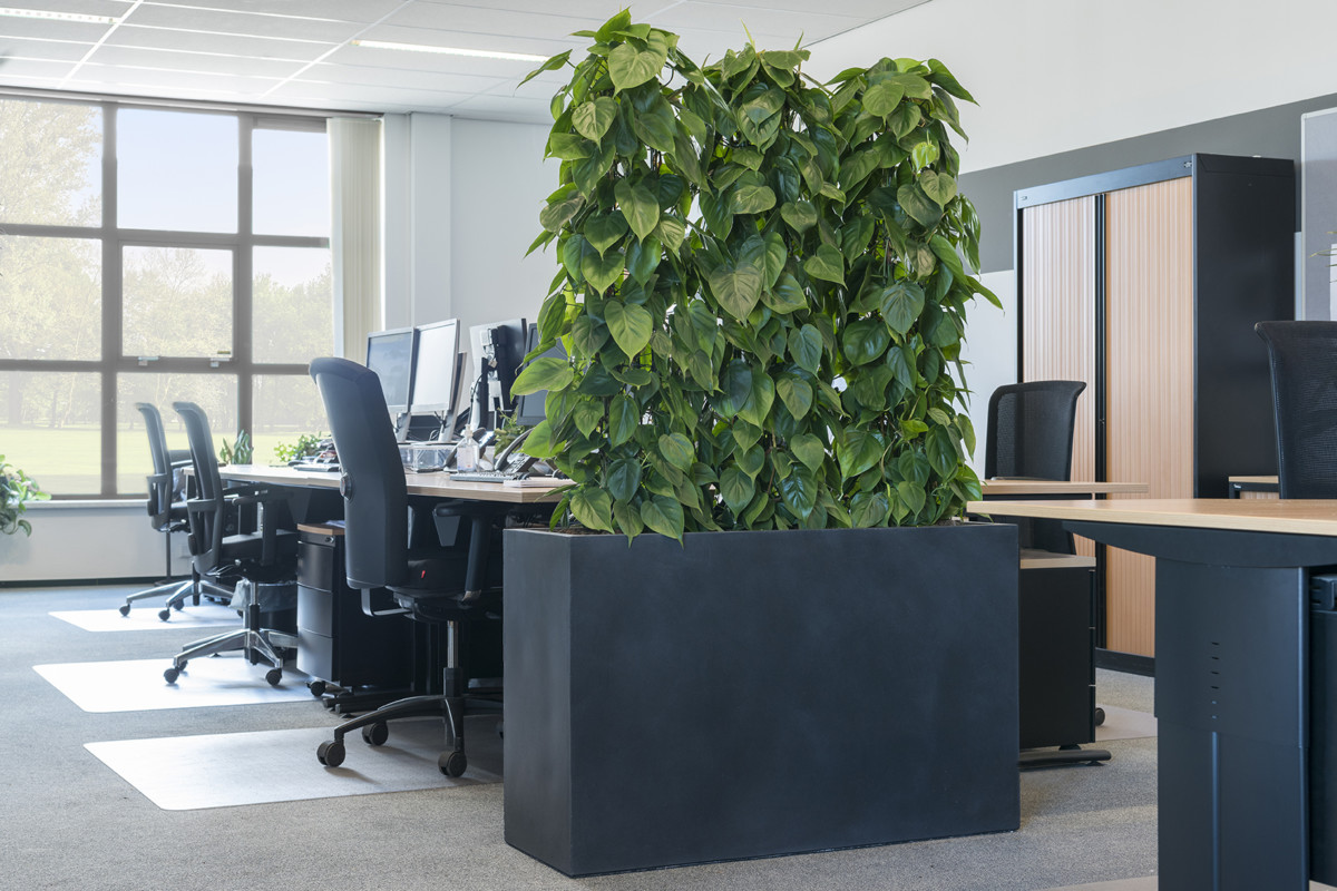 Office Plants, Indoor & Outdoor Plant Displays & Landscaping Services ...
