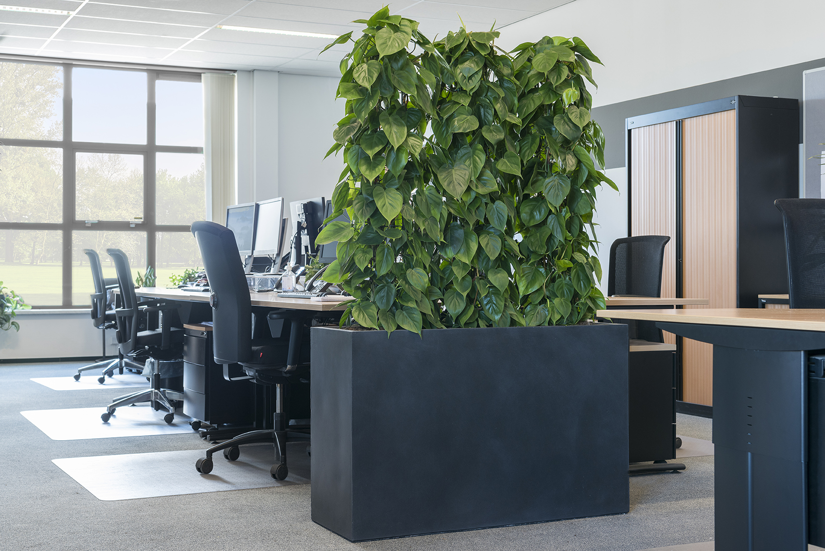 Office Plants, Indoor & Outdoor Plant Displays & Landscaping Services ...