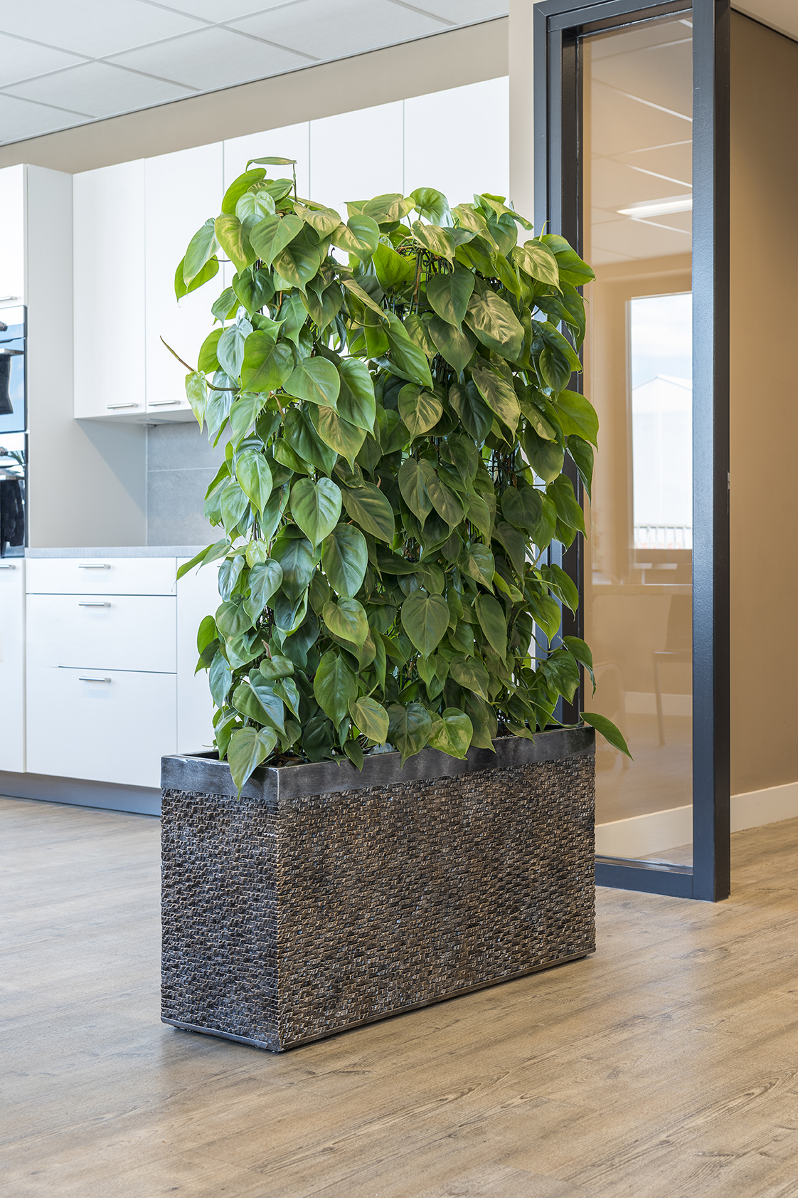 Creating a Healthy Distance With Plants - Urban Planters
