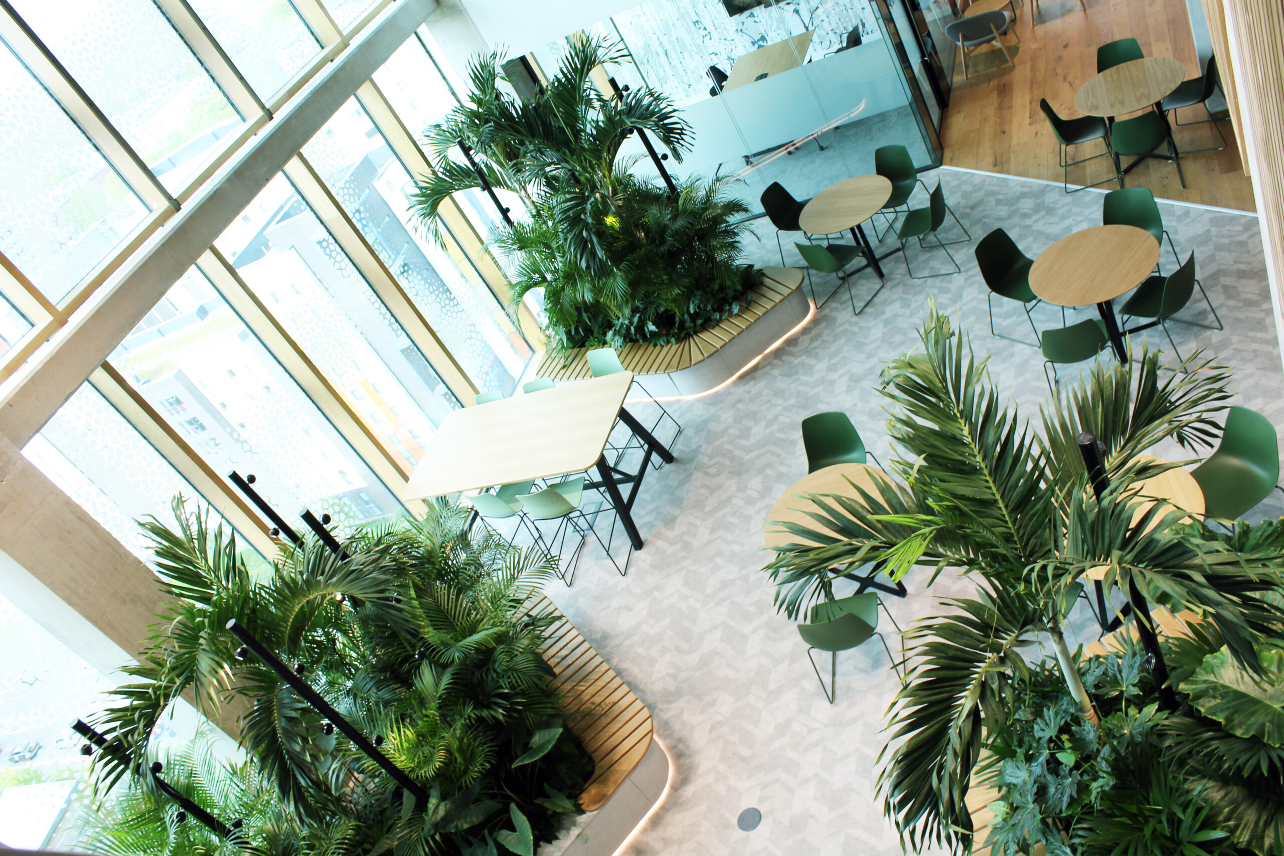 Royal College of Physicians - Urban Planters