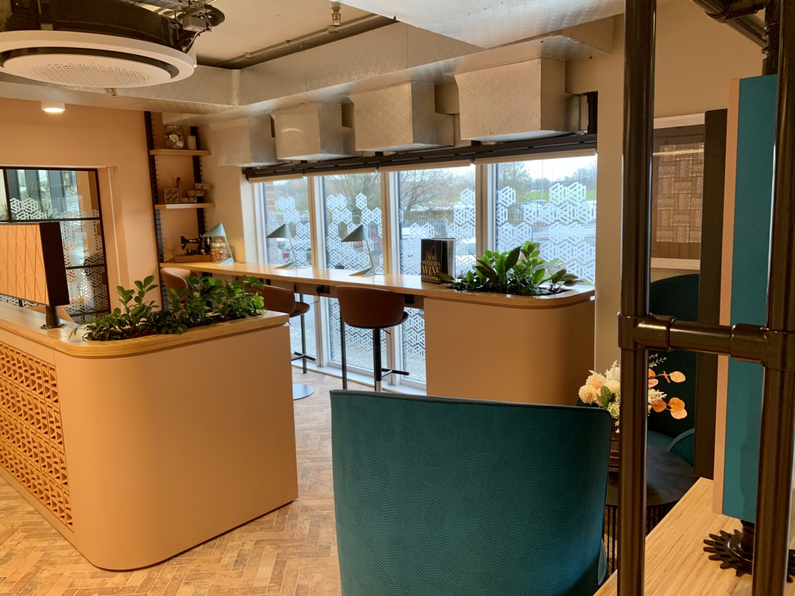 Office Plants, Indoor & Outdoor Plant Displays & Landscaping Services ...