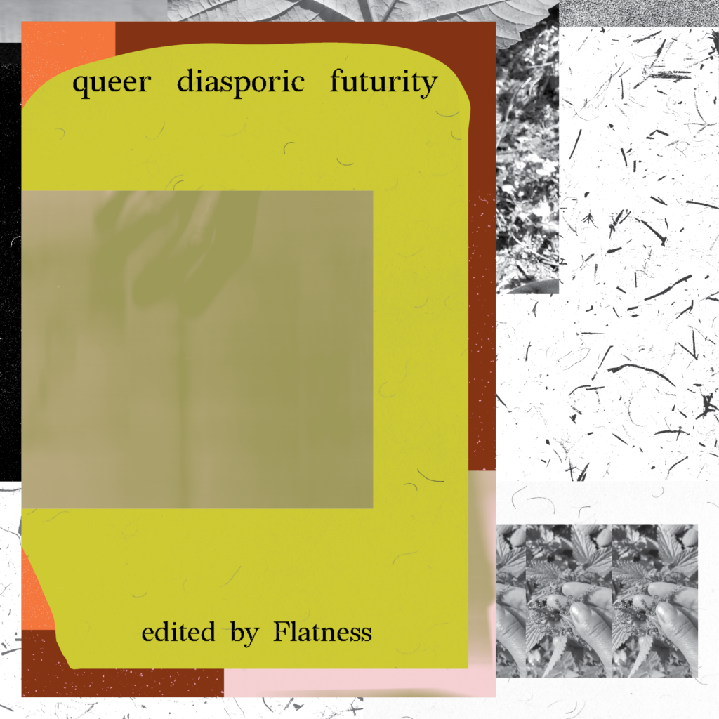 Book Launch: Queer Diasporic Futurity by Flatness - Studio Voltaire